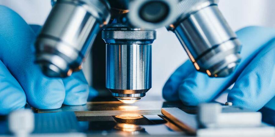 Department Of Biology Faculty Achievements Faculty Of Arts And Sciences